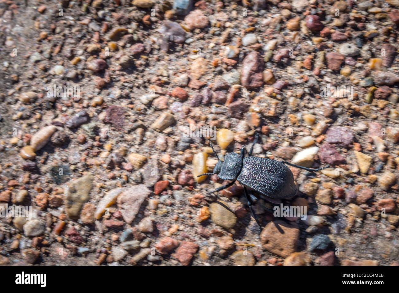 Pebble ridges hi-res stock photography and images - Alamy