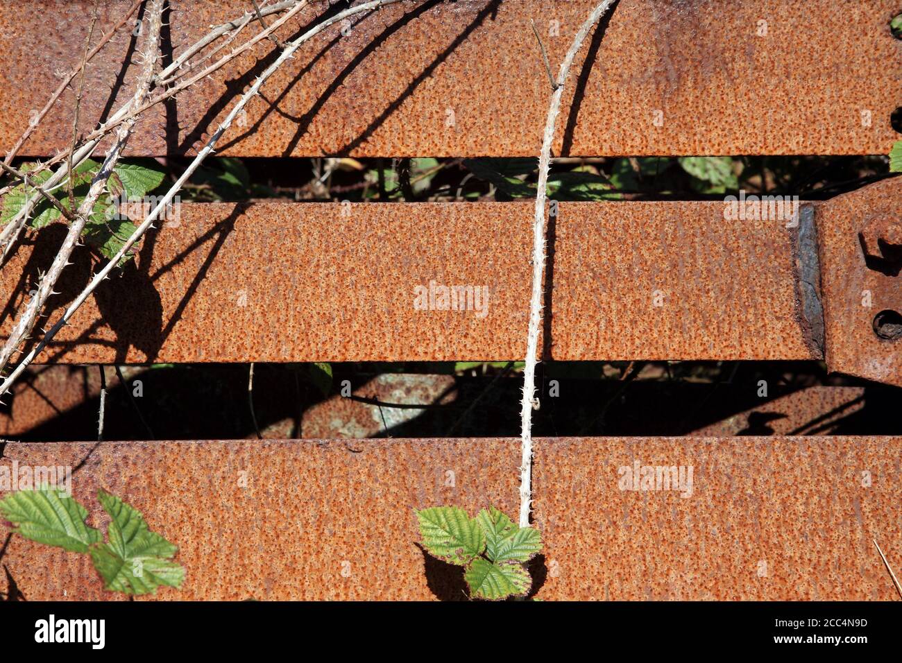 Rust background of old cast iron rusty orange distressed sheet metal ...