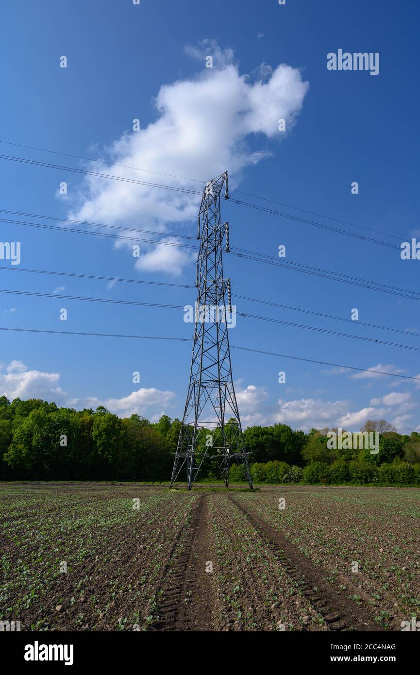 Timber pylon pylons hi-res stock photography and images - Alamy