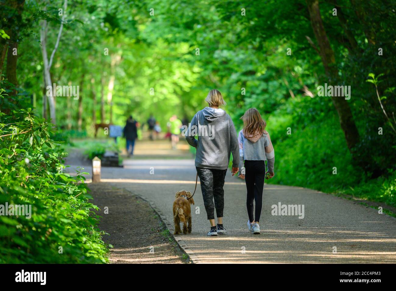 Tyldesley Loopline, linear walkway, Worsley on former railway line ...