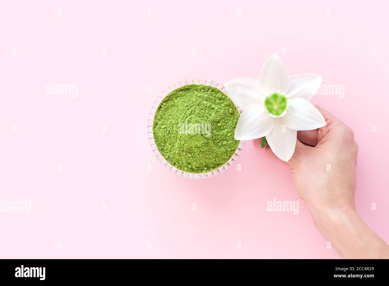 matcha dry green powder on a pink background for making Japanese ...