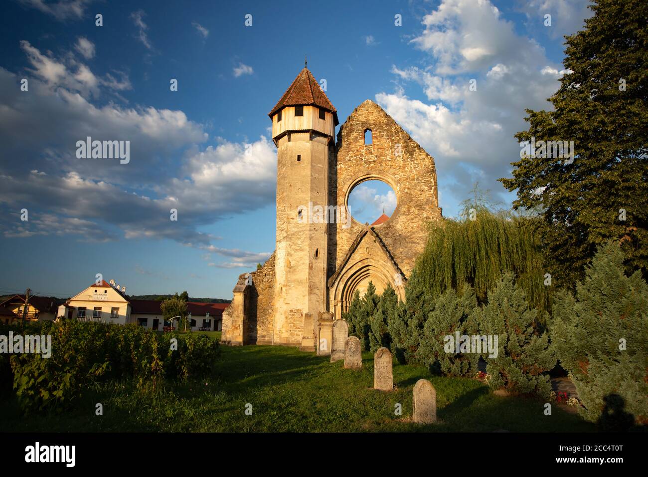 Carta - Ruins of Medieval Cistercian abbey from Carta village, Sibiu ...