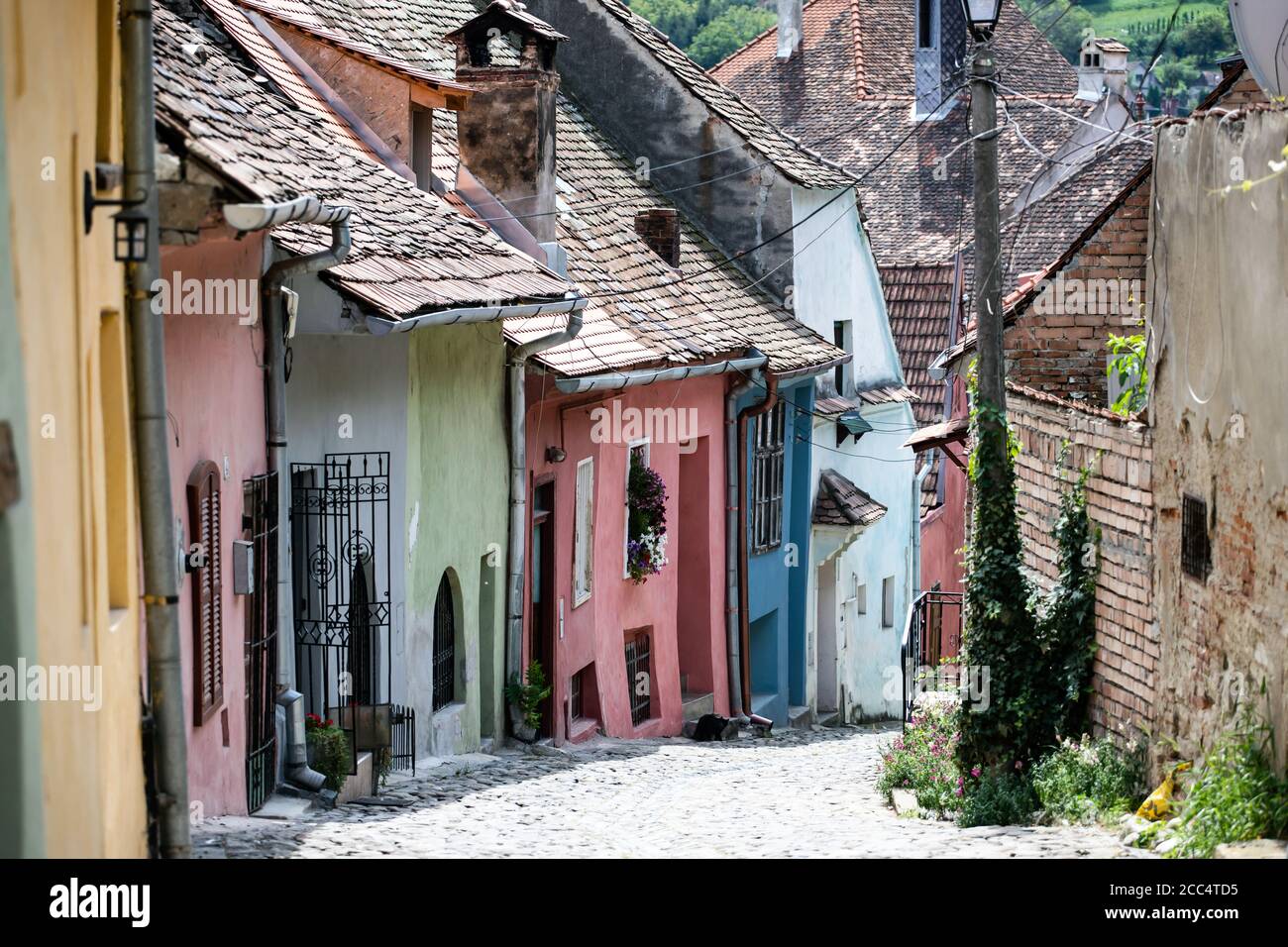 Sighisoara, Romania. Stone paved old streets with colorful houses in ...