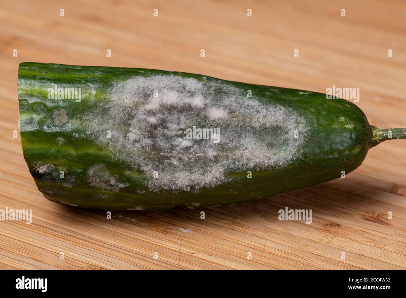 Mouldy vegetable hi-res stock photography and images - Alamy