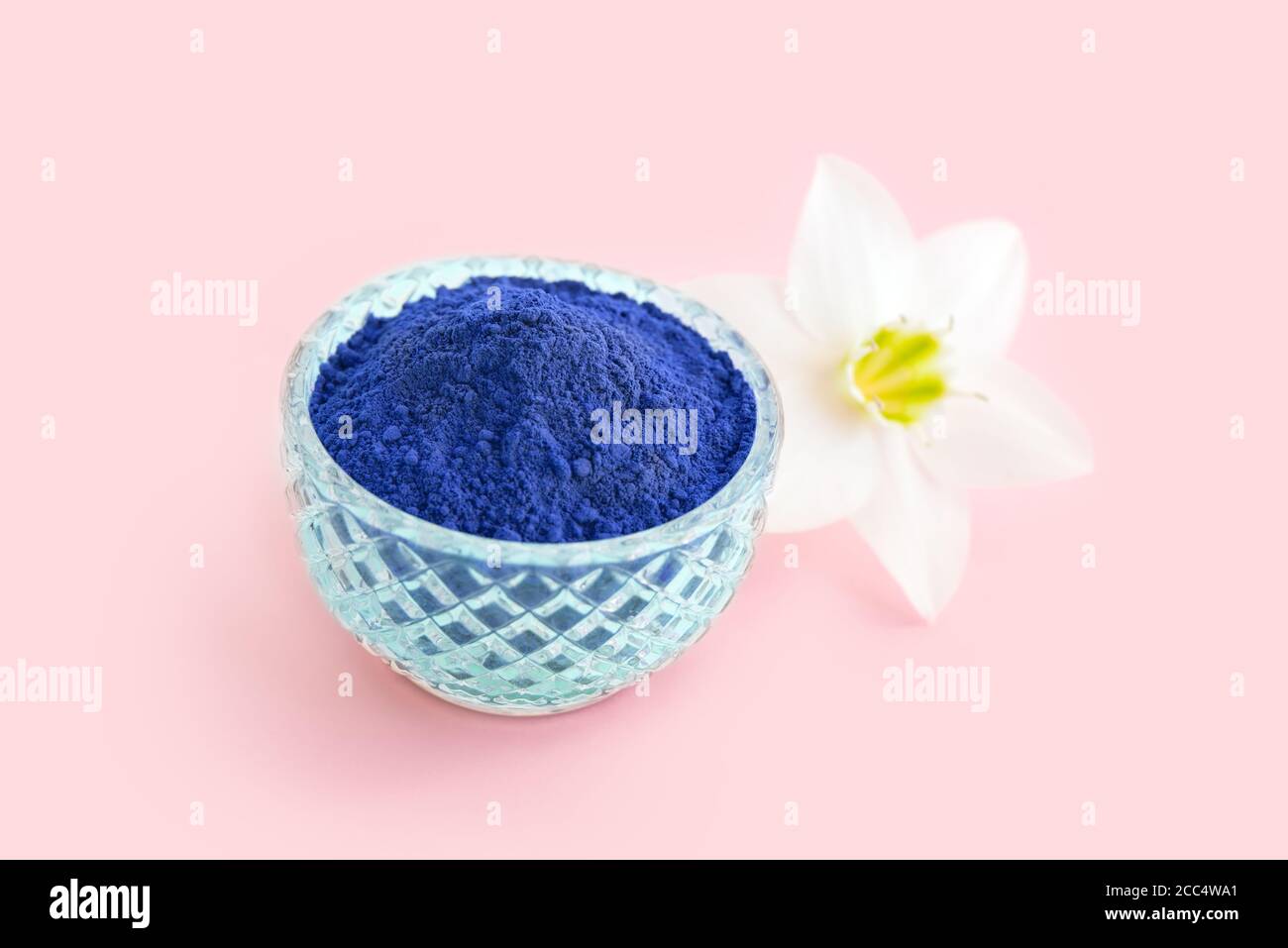 matcha dry blu powder on a pink background for making Japanese natural ...