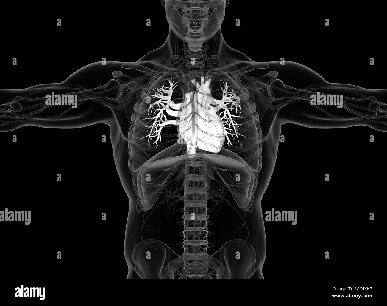 Inside body cells Black and White Stock Photos & Images - Alamy