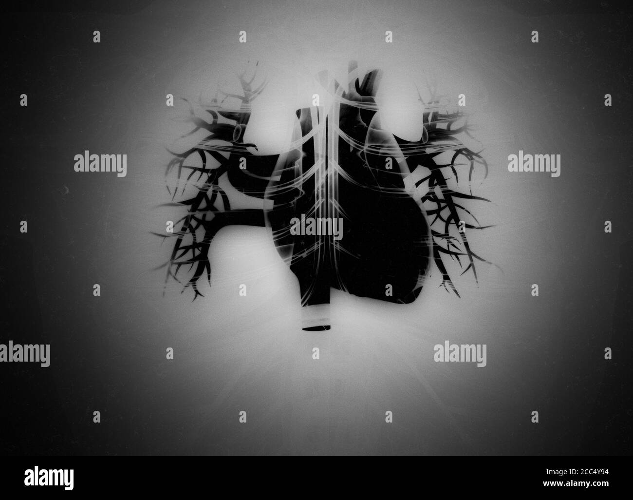 Human heart inside body. Anatomy. 3d illustration Stock Photo - Alamy