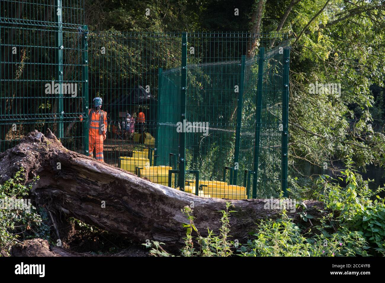 Hs2 removing trees hi-res stock photography and images - Alamy