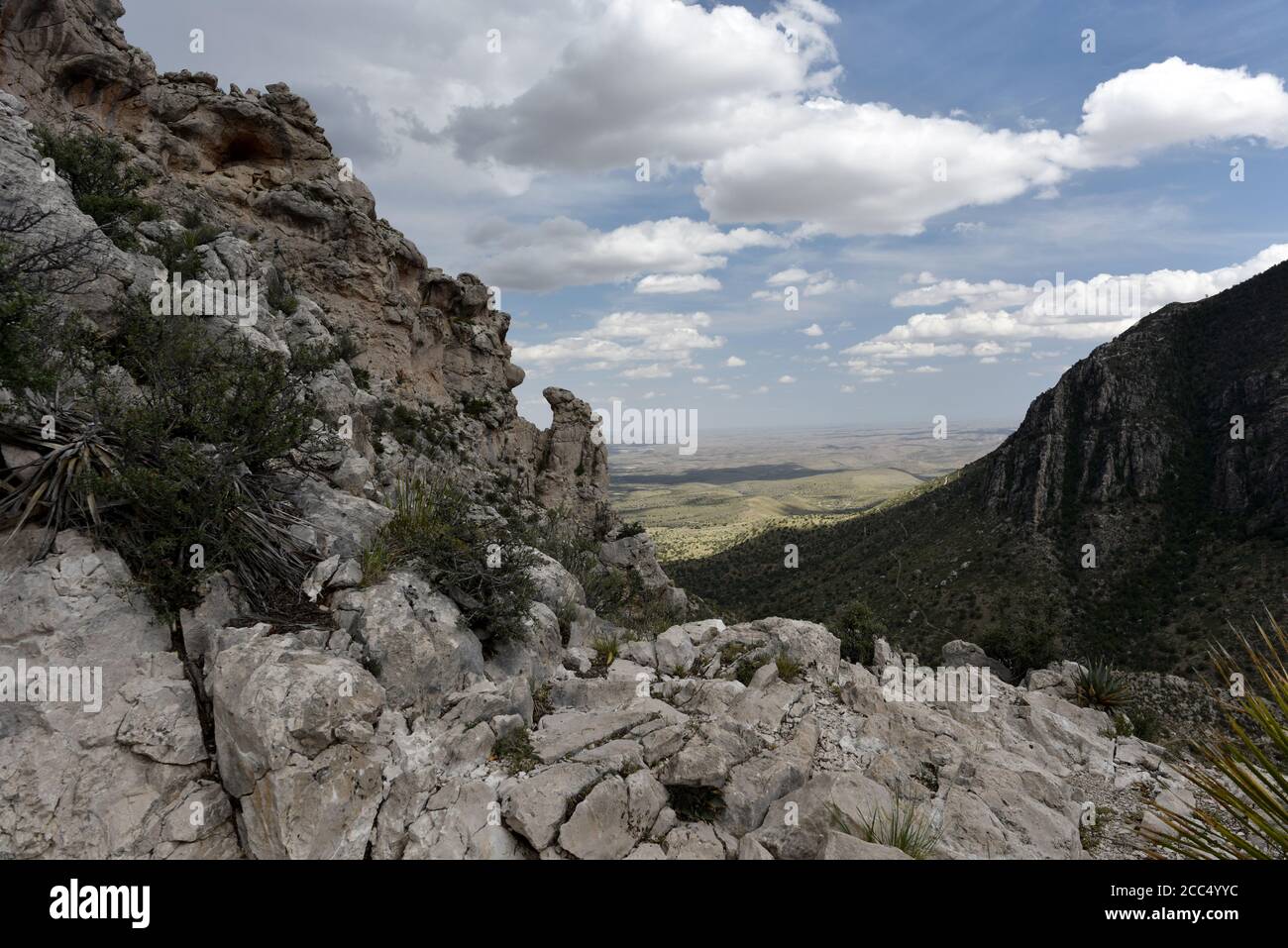 Tejas hi-res stock photography and images - Alamy