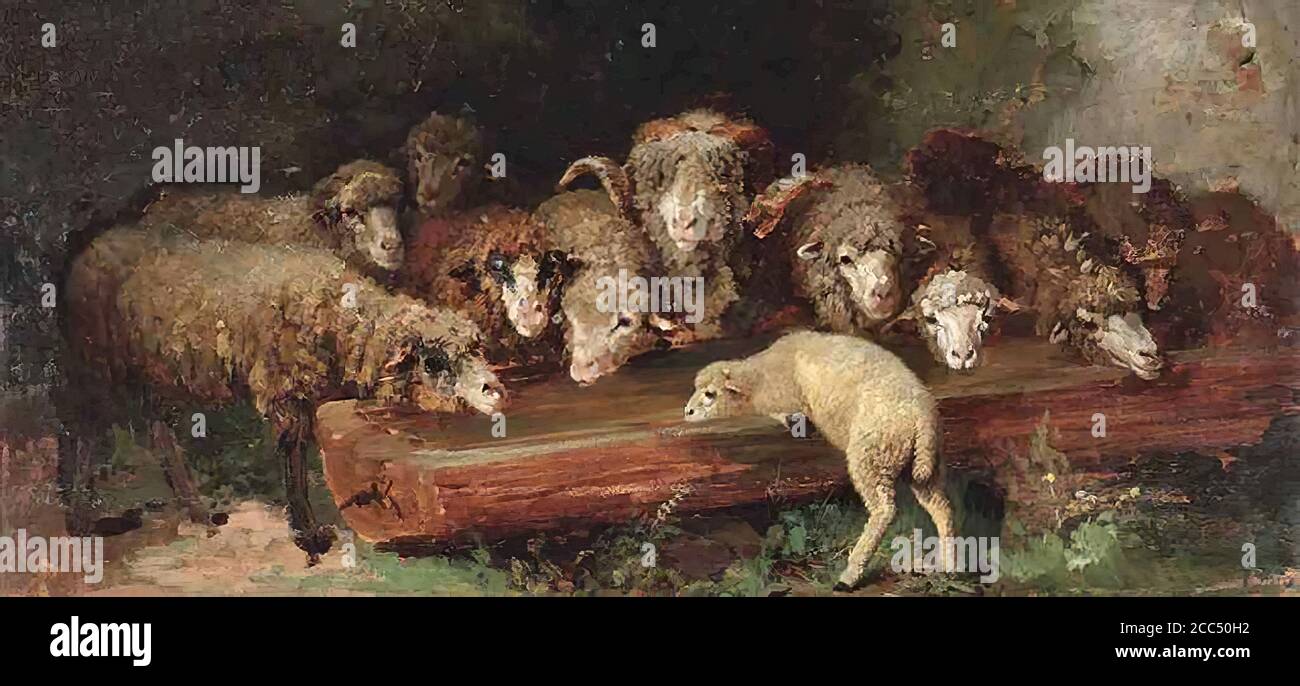 Zugel Heinrich Von - a Flock of Sheep Drinking - German School - 19th ...