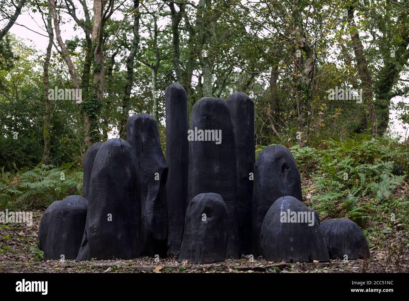 "Black Mound" by David Nash, RA, a powerful collection of charred oak ...