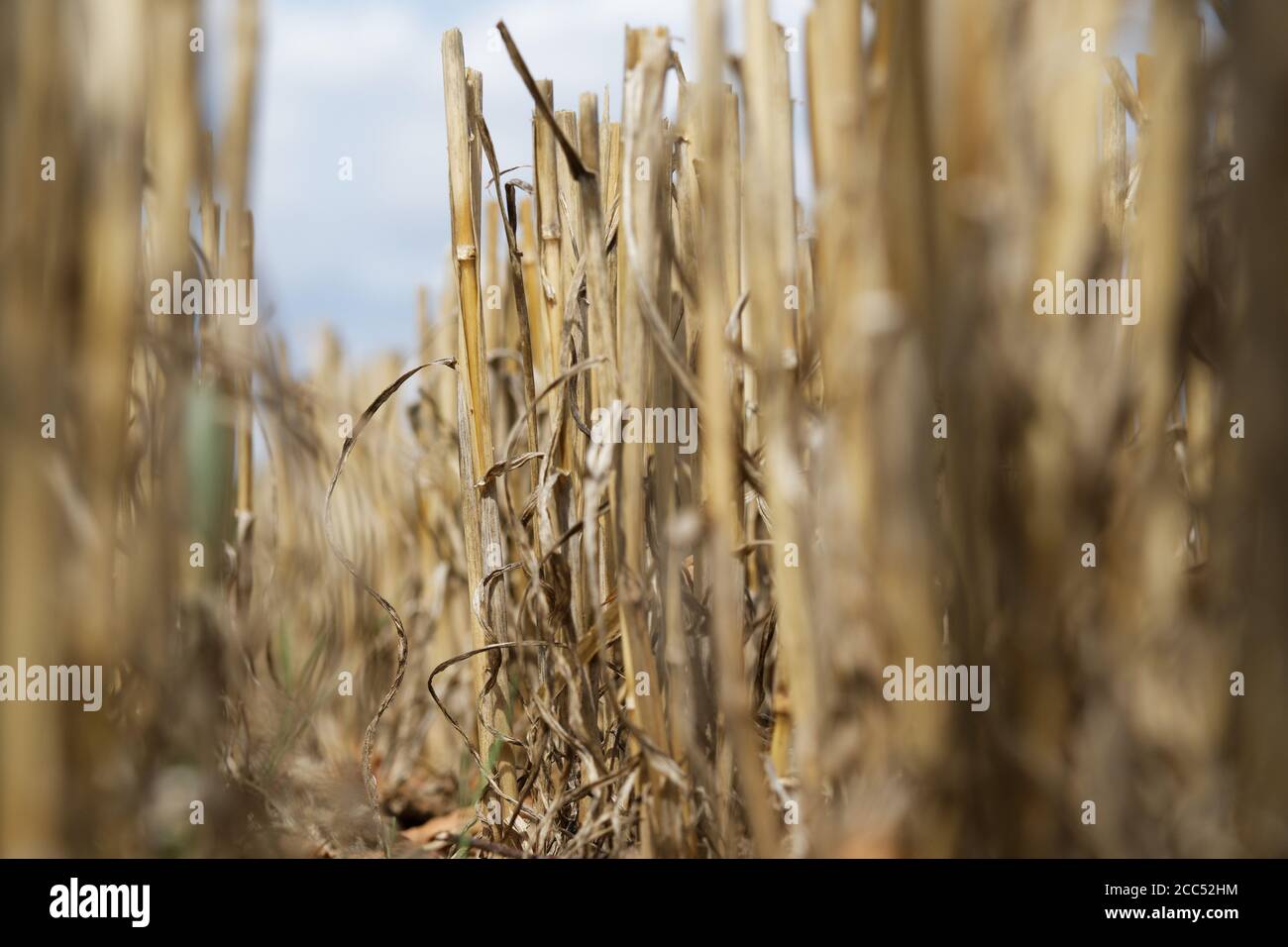 Horizontal ground view hi-res stock photography and images - Alamy