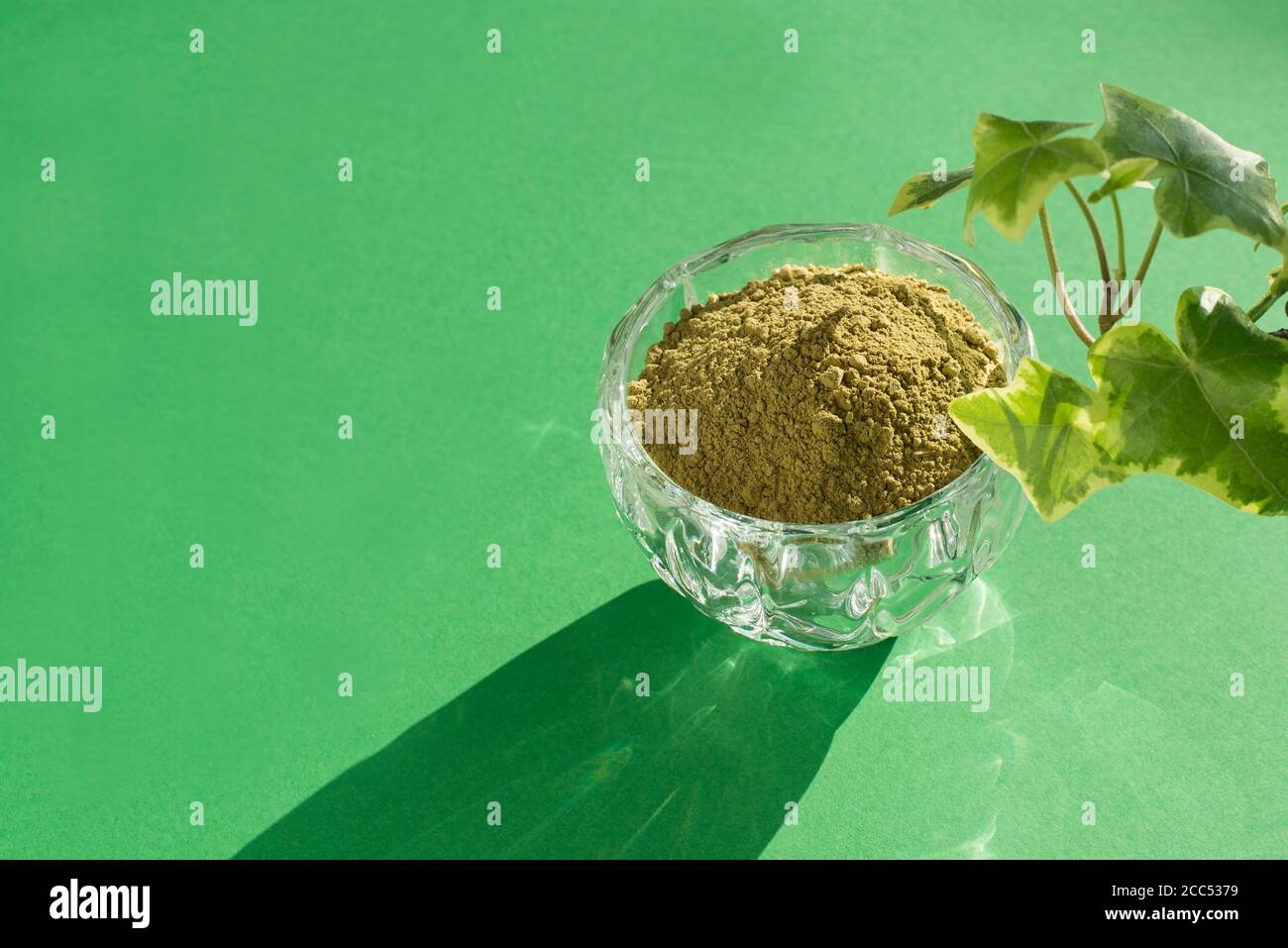 matcha dry green powder on a pink background for making Japanese ...