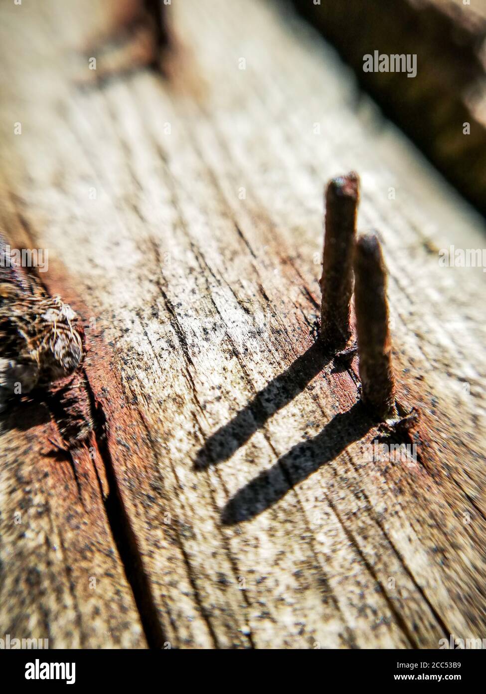 Rusty nails on an old wooden plank in close-up Stock Photo - Alamy