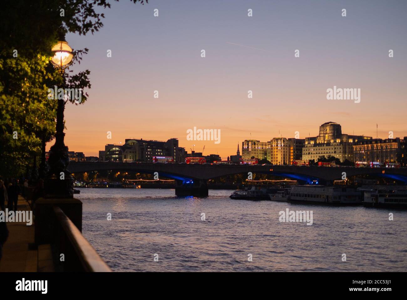 London embankment trees hi-res stock photography and images - Alamy
