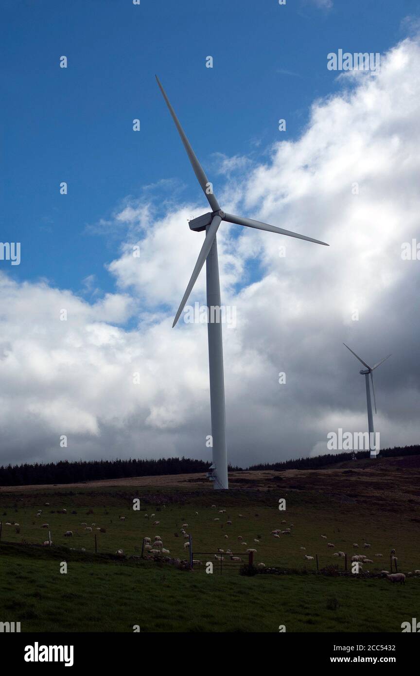 Wind turbines, Kilbrannish Forest Recreation Area, Co Carlow, Ireland ...