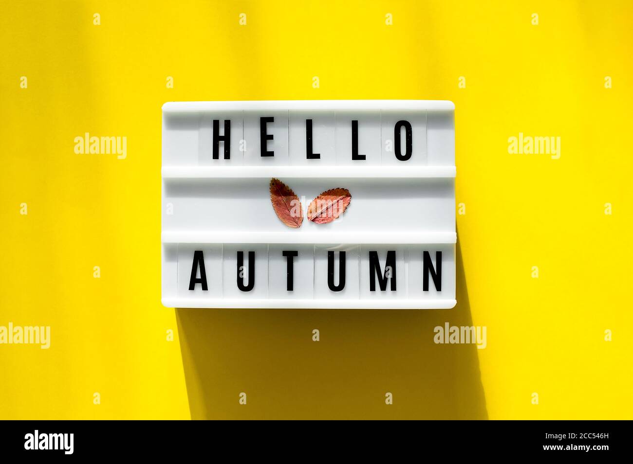 Light box the words Hello Autumn on yellow background. Colorful autumn ...