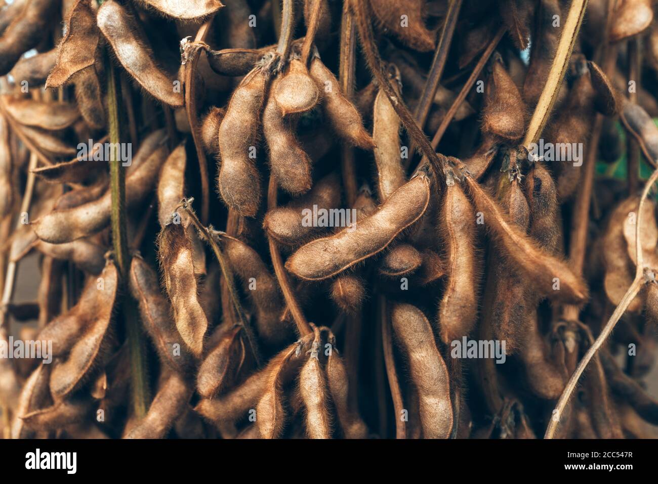 Max stack hi-res stock photography and images - Alamy