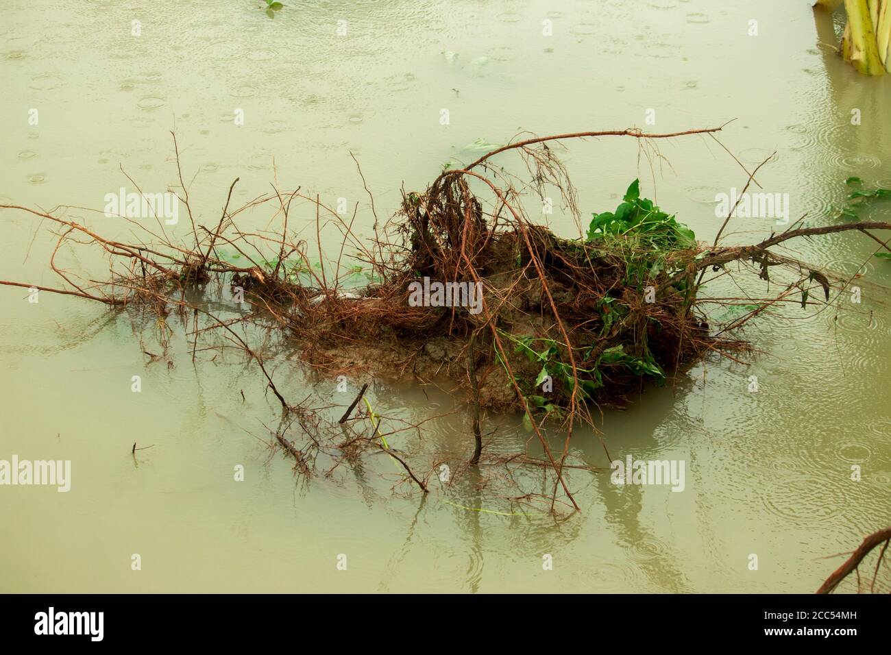 flood water over flowing on the way Stock Photo - Alamy