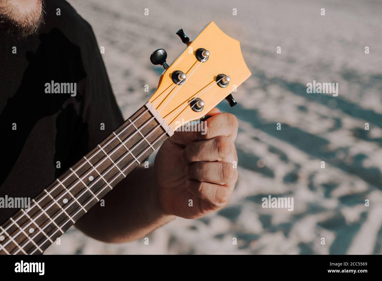 Closeup of a person tuning the ukulele at a beach under the sunlight ...