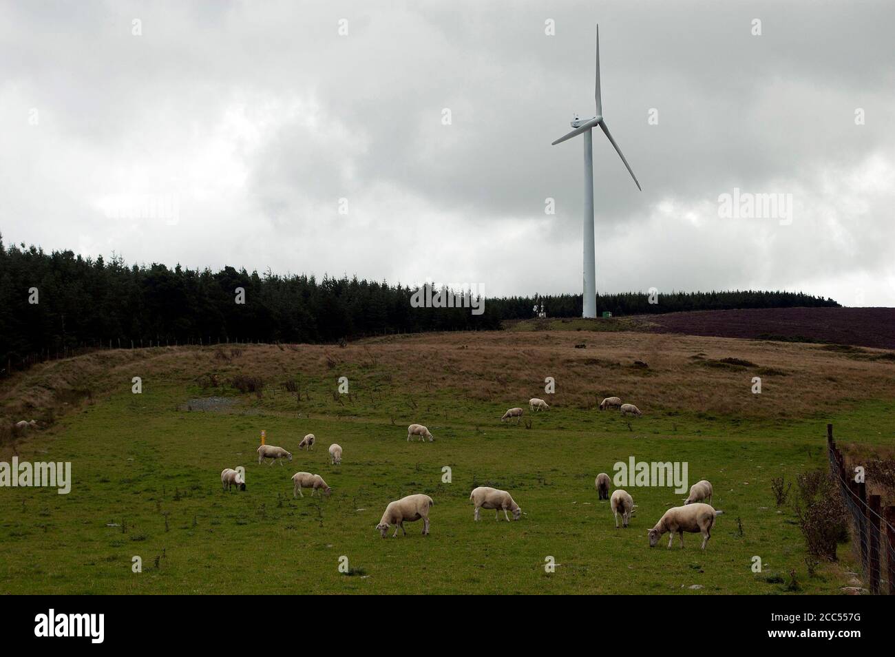 Wind turbines, Kilbrannish Forest Recreation Area, Co Carlow, Ireland ...