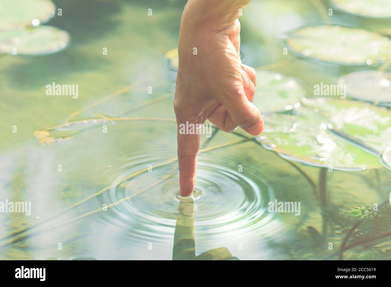person touches the water with his hand Stock Photo - Alamy