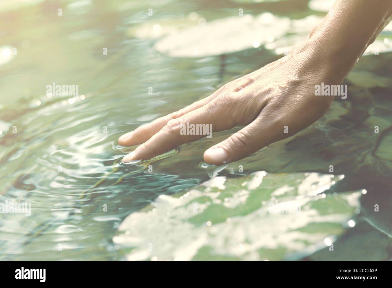 person touches the water with his hand Stock Photo - Alamy