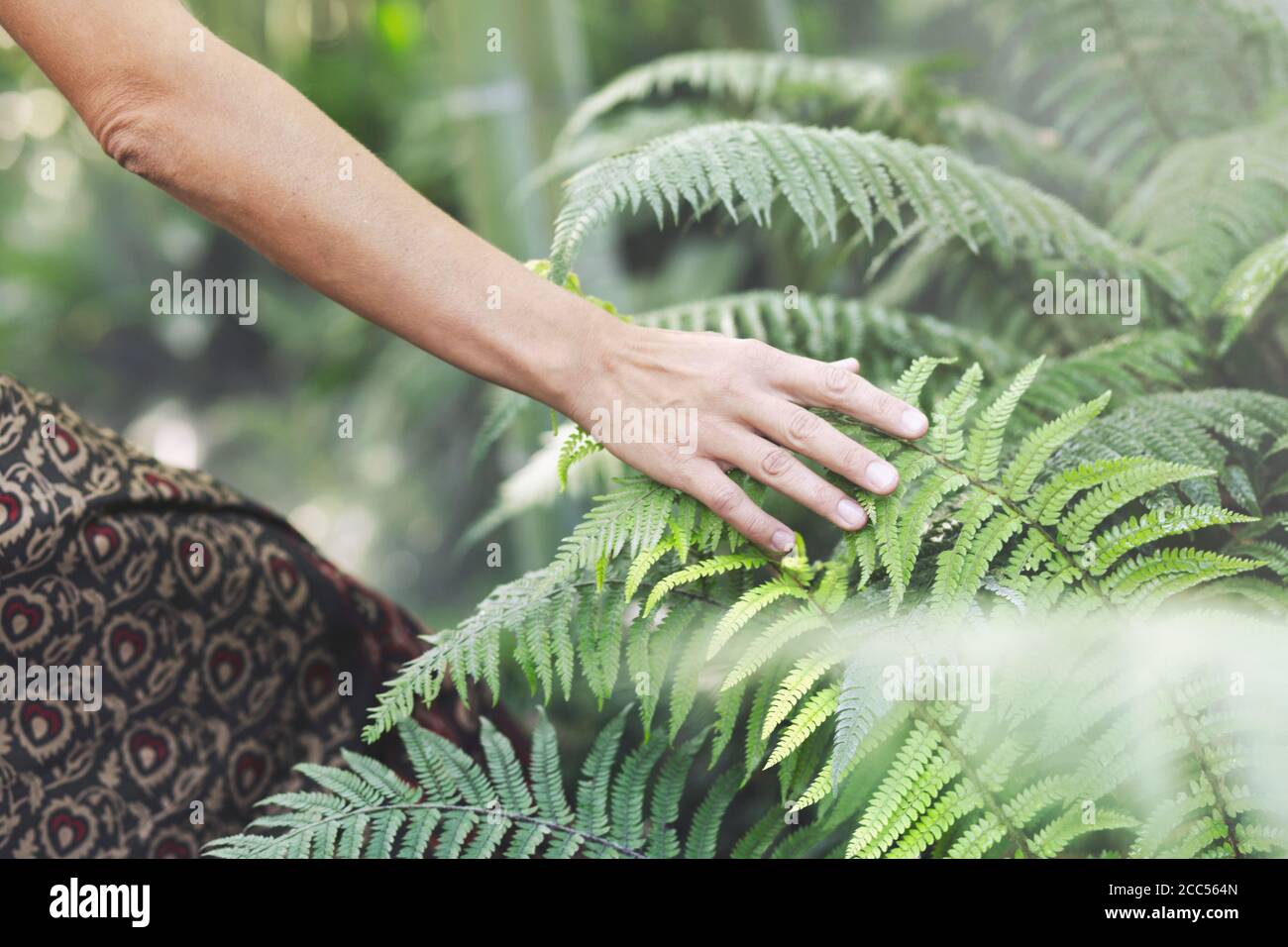 Respect for the environment hi-res stock photography and images - Alamy