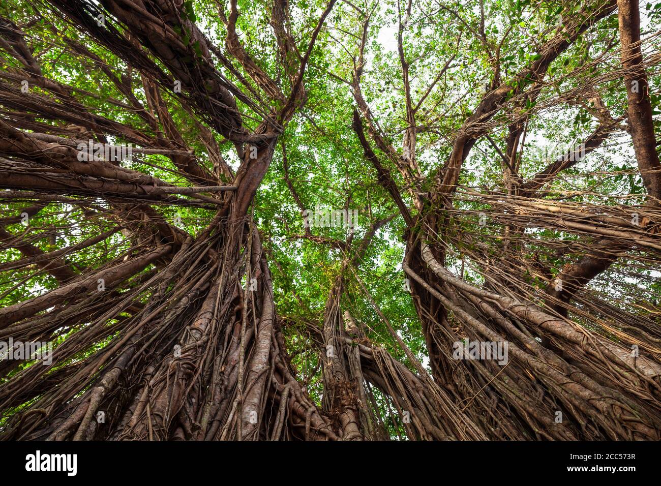 Indian tourist hi-res stock photography and images - Alamy