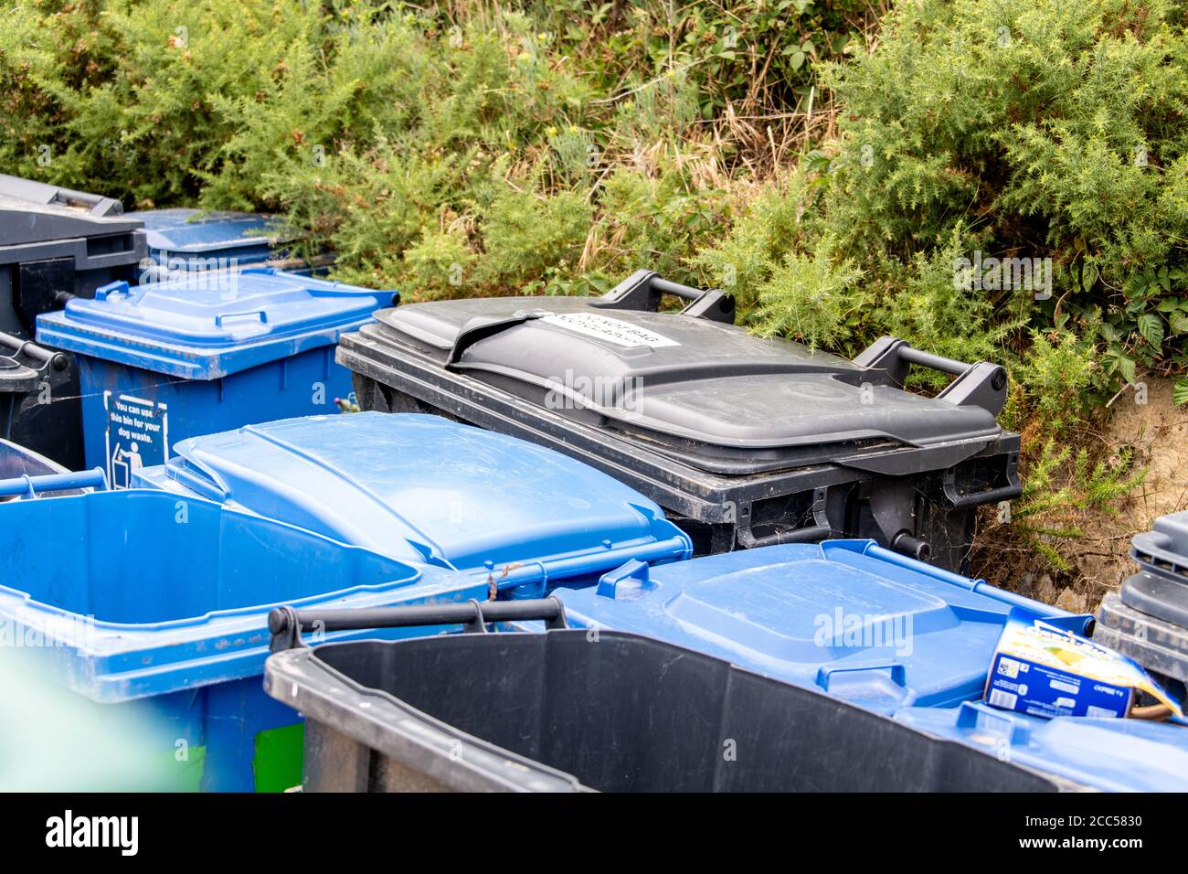 Plastic Pollution: Blue wheelie bins. Bournemouth, UK Stock Photo - Alamy