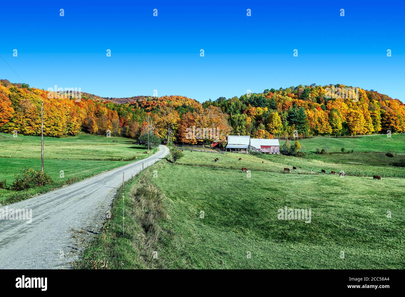Vermont scenic farming barn farming hi-res stock photography and images ...
