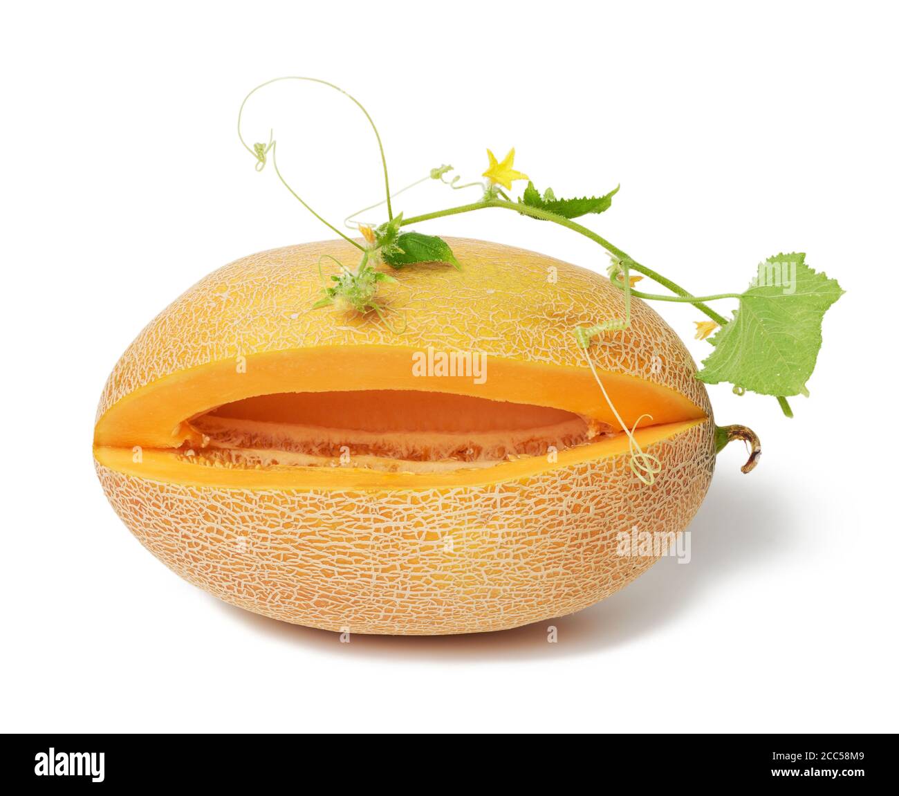 ripe juicy orange melon and cut piece with seeds, green shoot with ...
