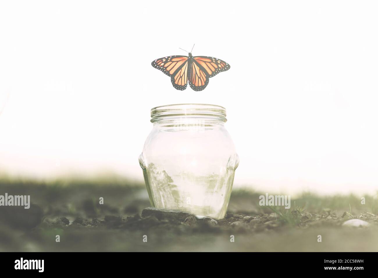 Butterfly flies away hi-res stock photography and images - Alamy