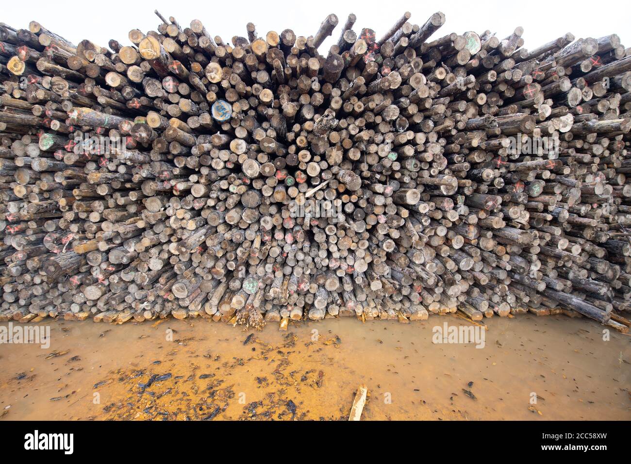 Wet wood storage area hi-res stock photography and images - Alamy