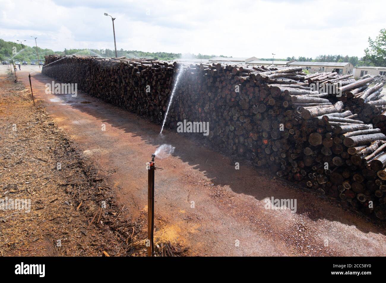 Wet Wood Storage Area High Resolution Stock Photography and Images - Alamy