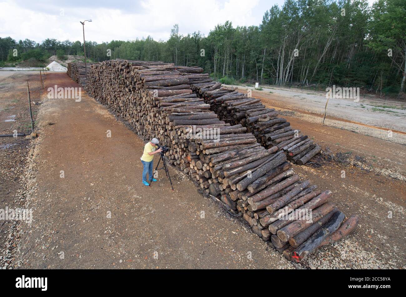Wet Wood Storage Area High Resolution Stock Photography and Images - Alamy