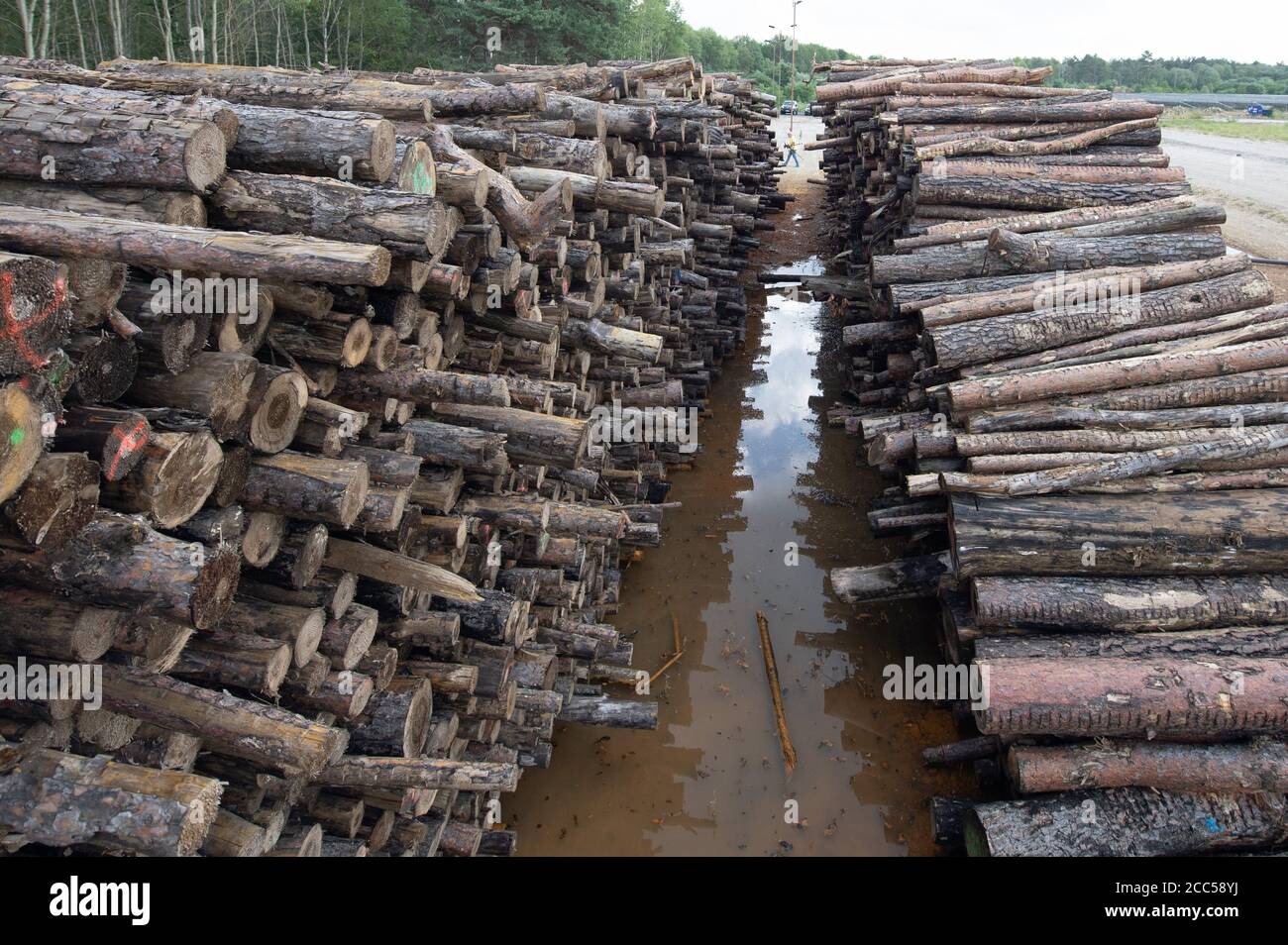 Wet Wood Storage Area High Resolution Stock Photography and Images - Alamy