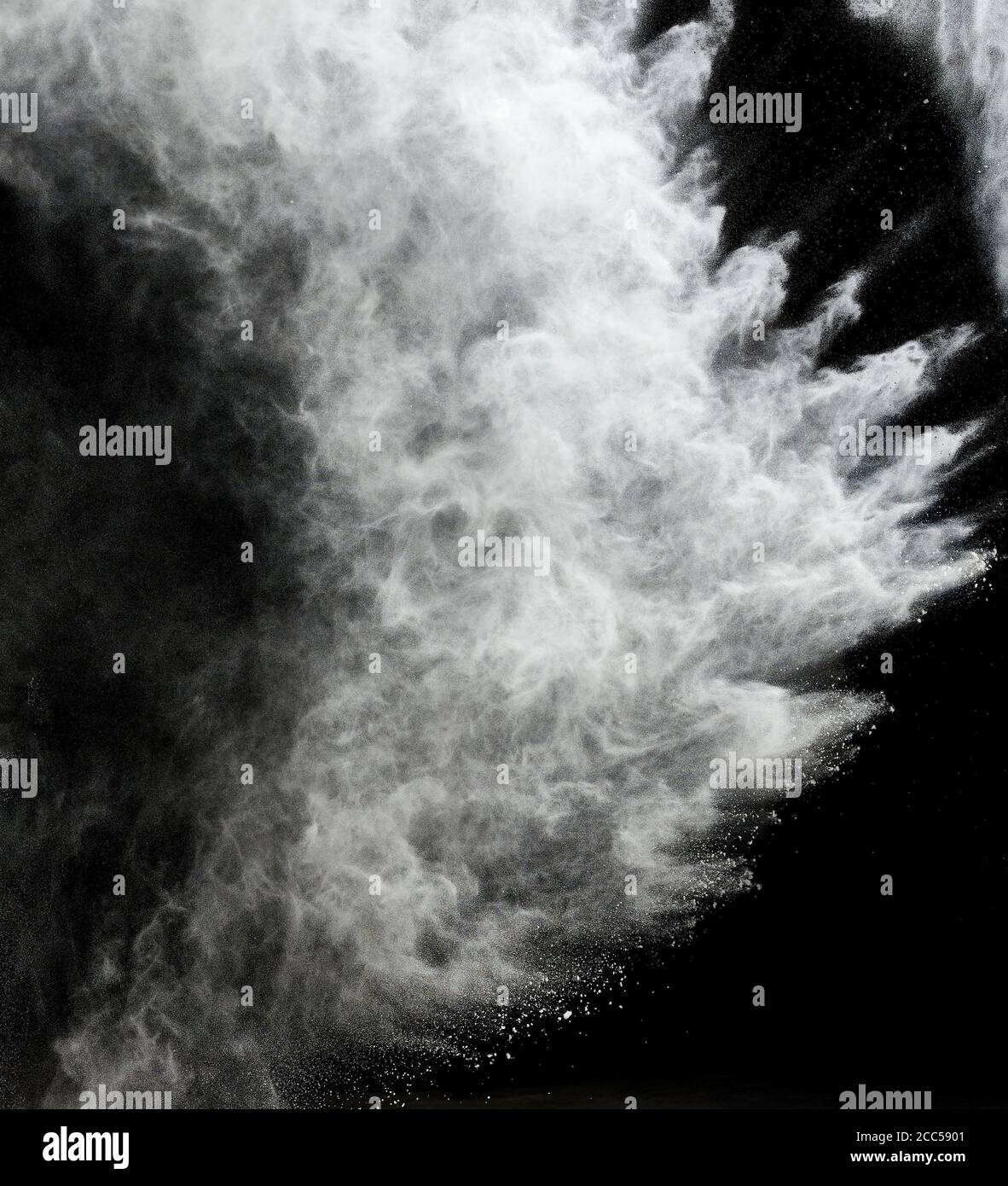 cloud of white wheat flour on a black background, particles fly in ...