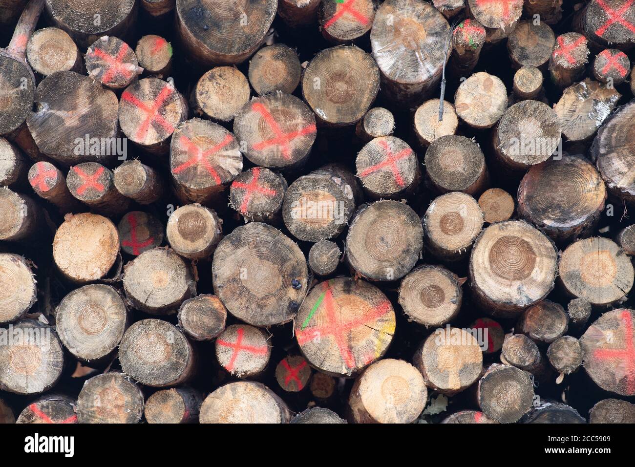 Wet wood storage area hi-res stock photography and images - Alamy