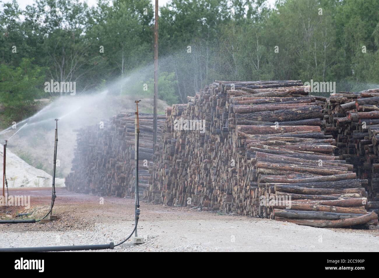 Wet Wood Storage Area High Resolution Stock Photography and Images - Alamy