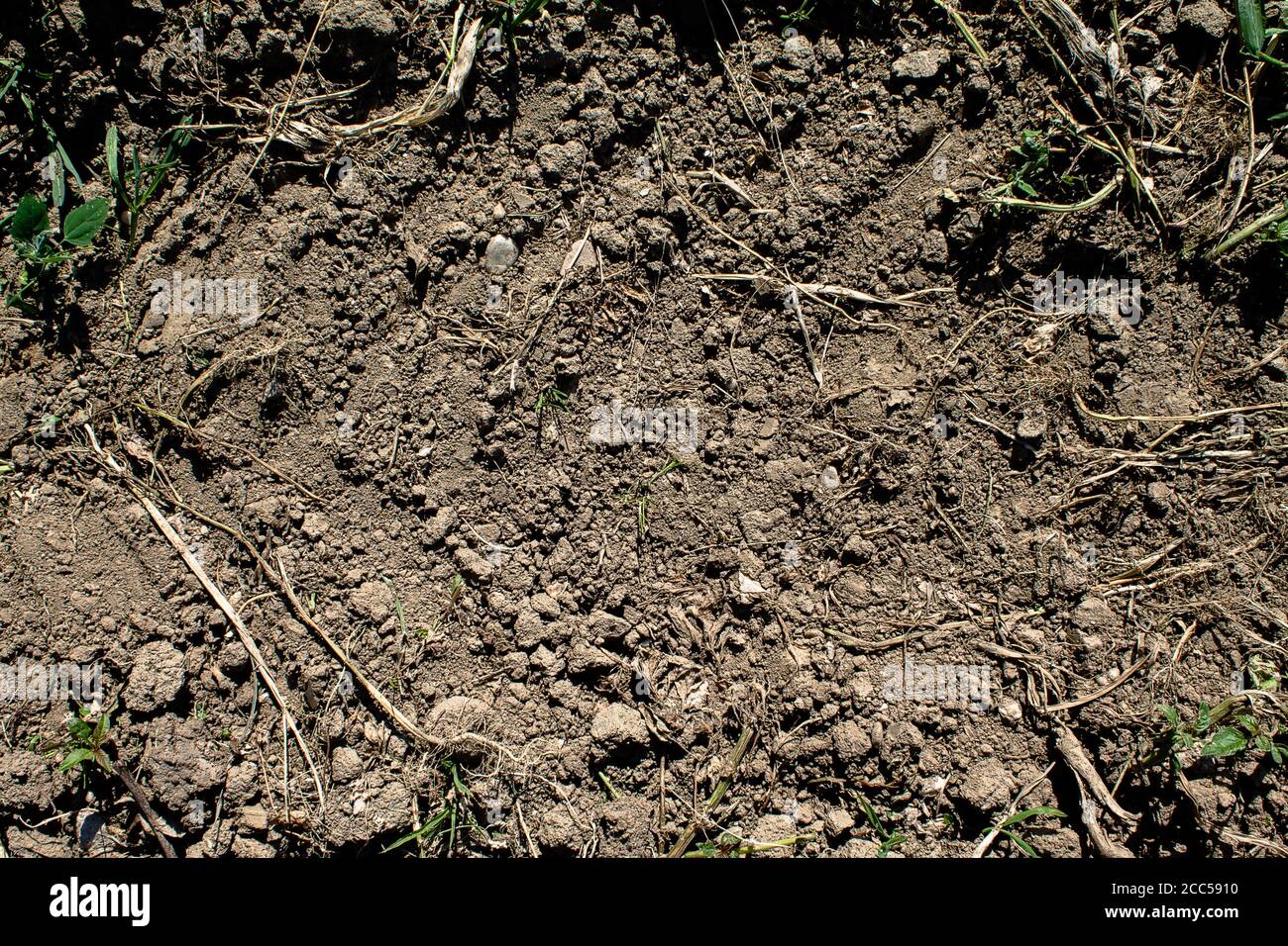 Texture of dry arable soil. Everything dry Stock Photo - Alamy