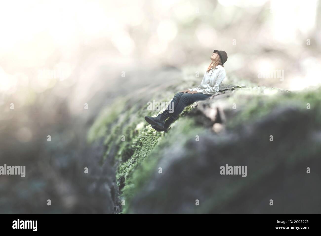 Respect the forest hi-res stock photography and images - Alamy