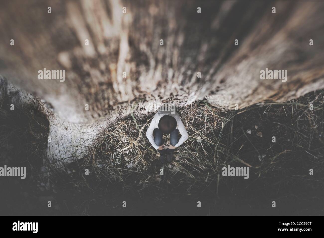 little woman protects herself afraid at the foot of a giant tree in the ...