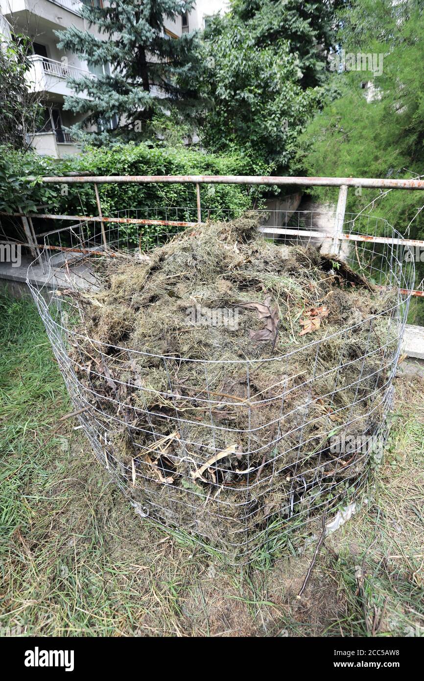 Organic composter. People are making bio composter bin in a yard Stock ...