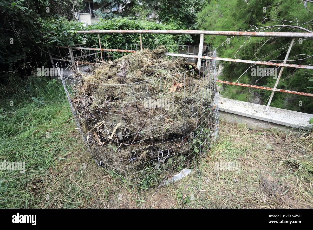 Organic composter. People are making bio composter bin in a yard Stock ...