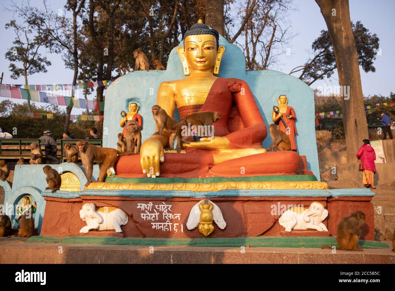 Assam Macaque monkeys surround a statue of the Buddha at Swayambhunath ...