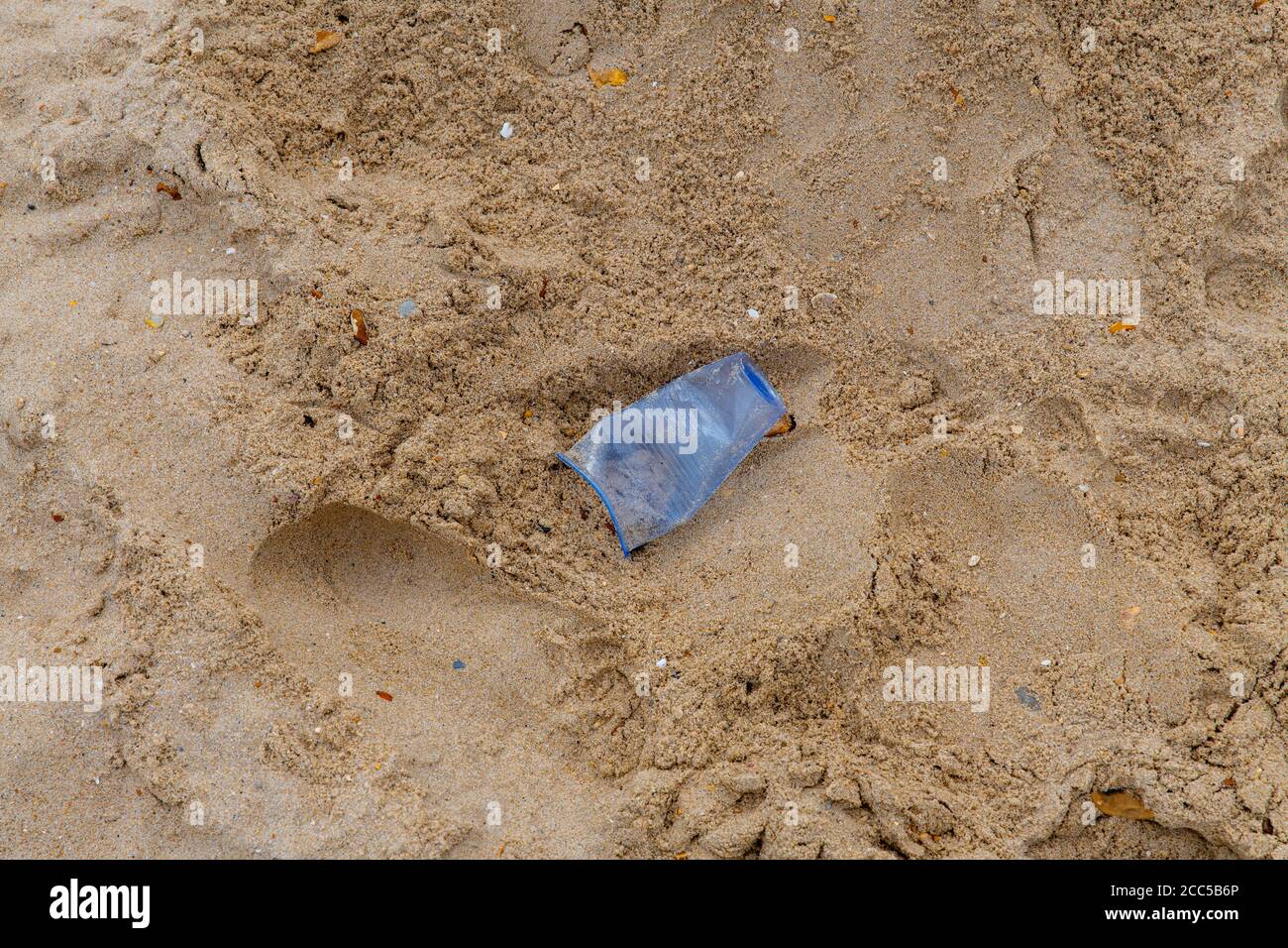 Plastic Pollution: Plastic cup left on the beach by tourists ...