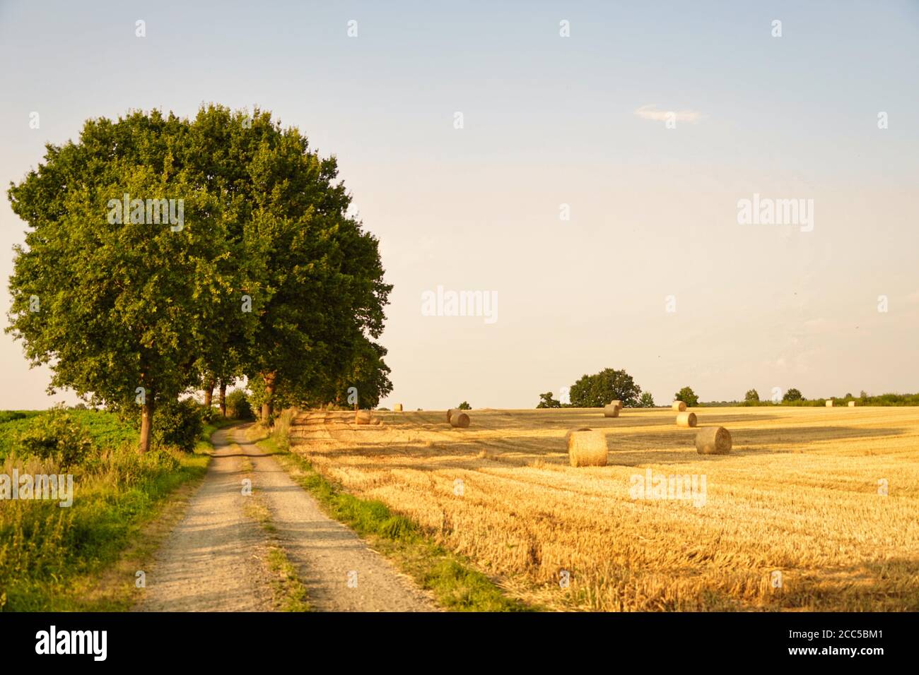 straw bales on field, road along the field, trees, late summer, blue ...