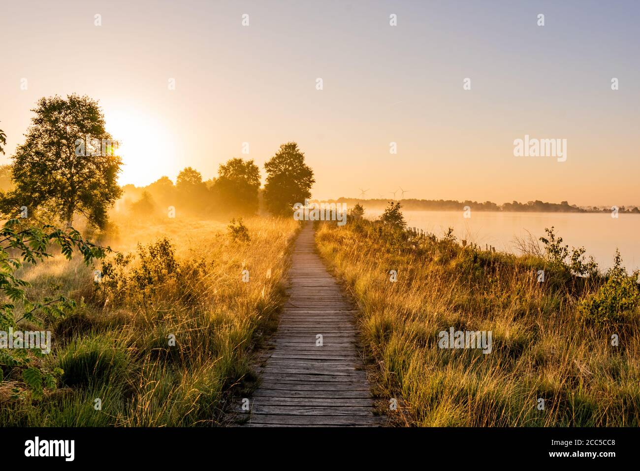 Beautiful shot of a misty morning sunrise in the bog with a wooden path ...