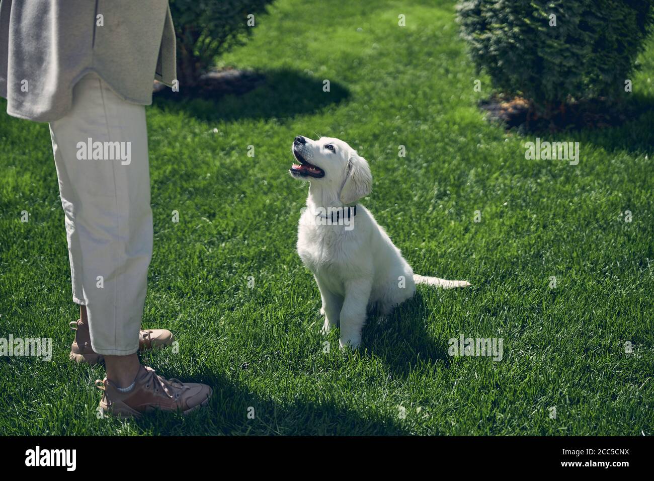 Side view calm little hi-res stock photography and images - Alamy